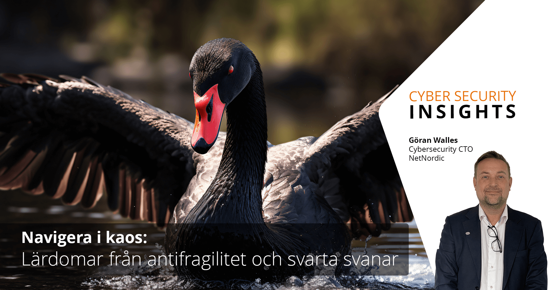 Navigera i kaos – cybersäkerhetsstrategier - NetNordic Sweden